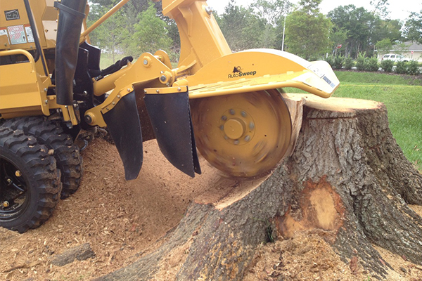 Services – Amazing Tree Services LLC