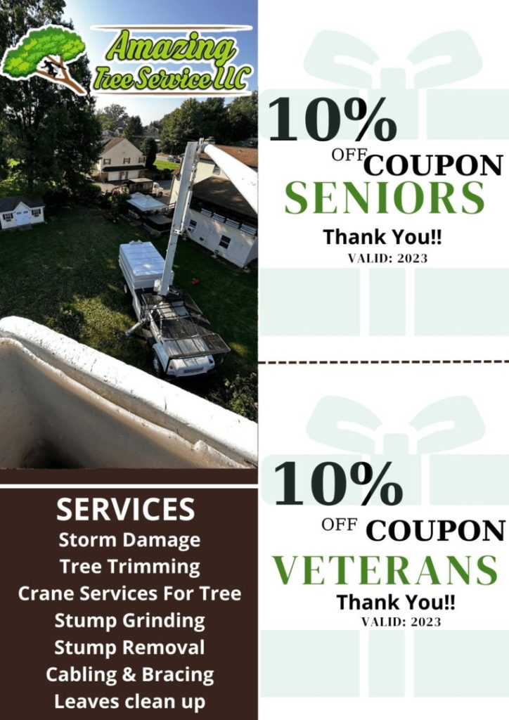 Amazing Tree Services LLC – Tree Trimming IN Pottstown, PA, Tree ...